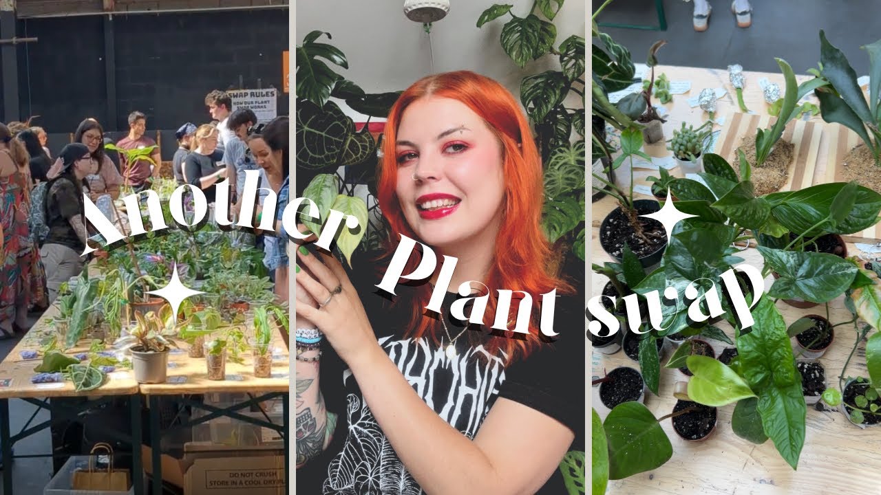 Come with me to Another Plant Swap! +Prep/Haul🌿 - YouTube