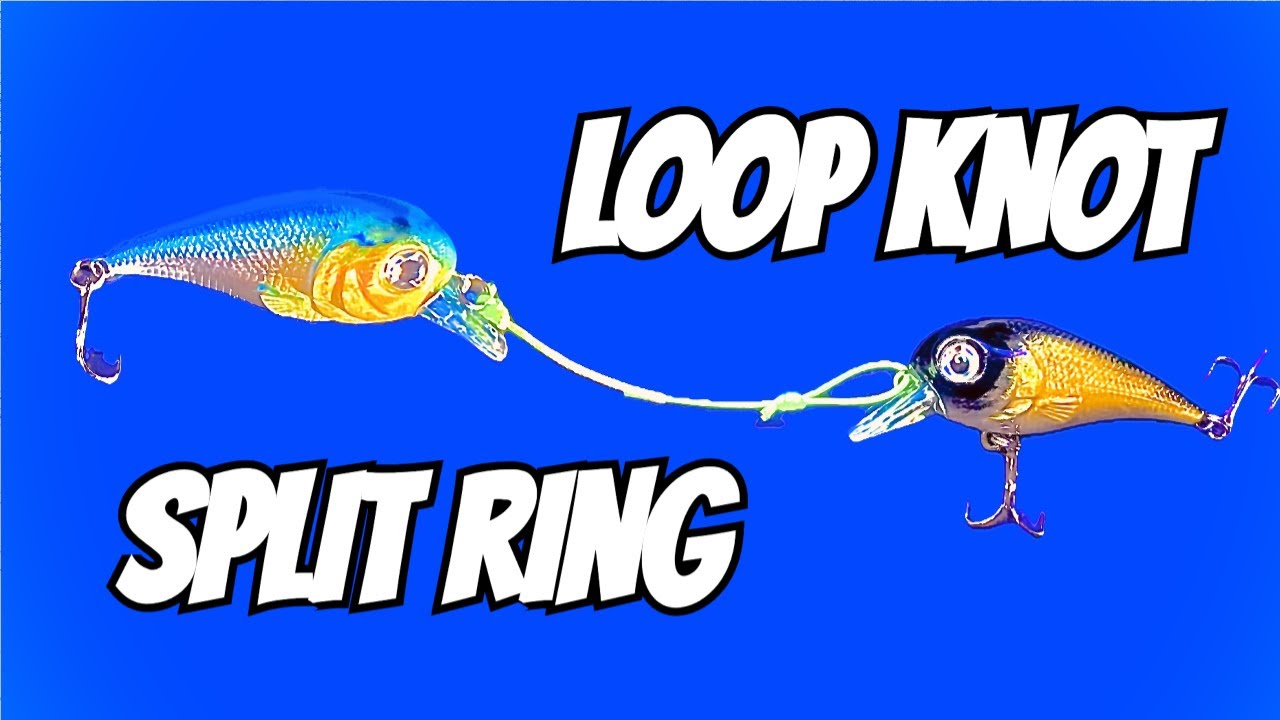 LOOP KNOT vs SPLIT RING: Which ONE Will Land You MORE Fish? - YouTube