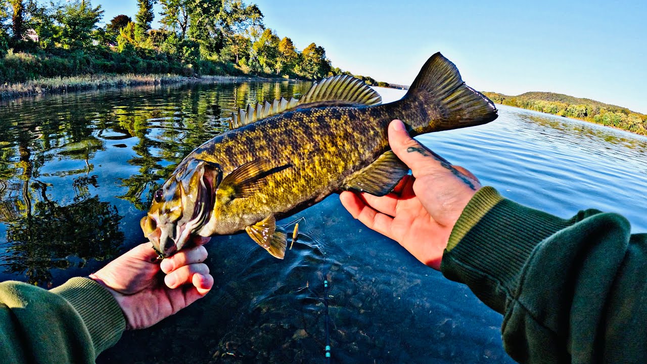 THIS IS WHY ANGLERS GET EXCITED FOR FALL FISHING!!! (SUSQUEHANNA ...