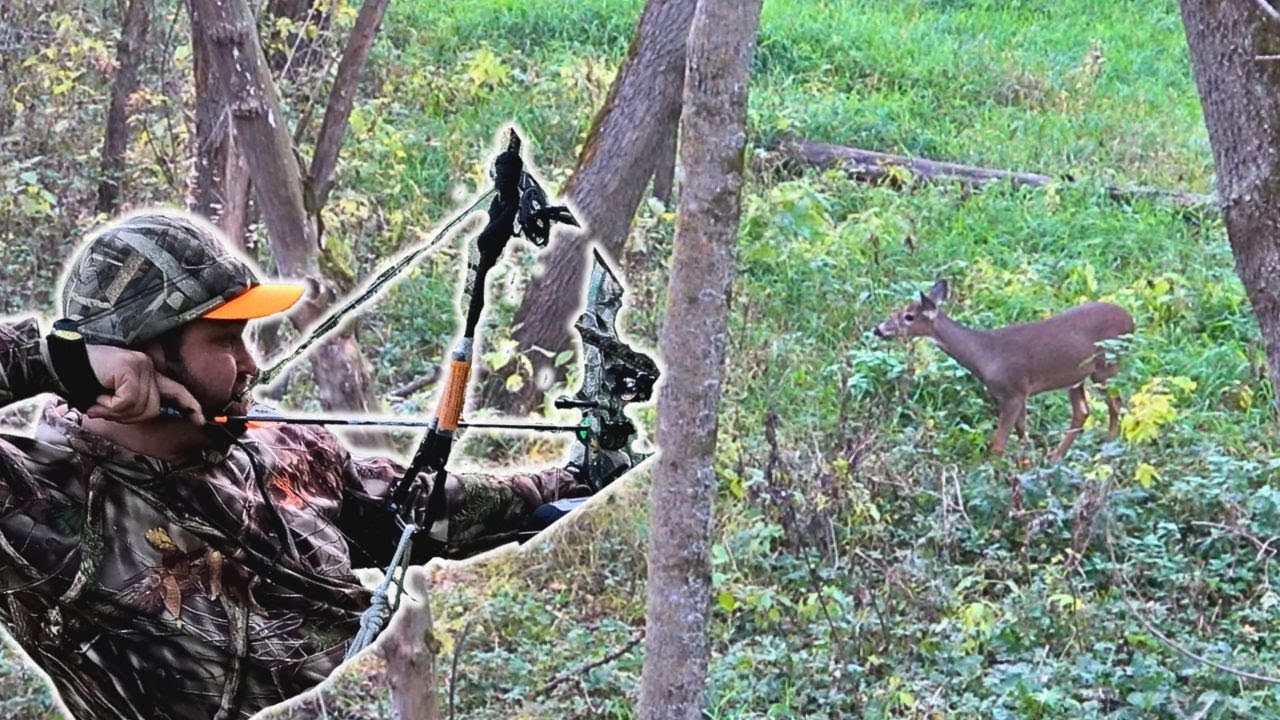 Public Land Whitetail Deer Bow Hunting in the Saddle {Catch, Clean ...