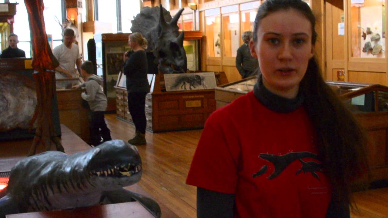 Redpath Museum Plesiosaur- Crowdfunding video - YouTube
