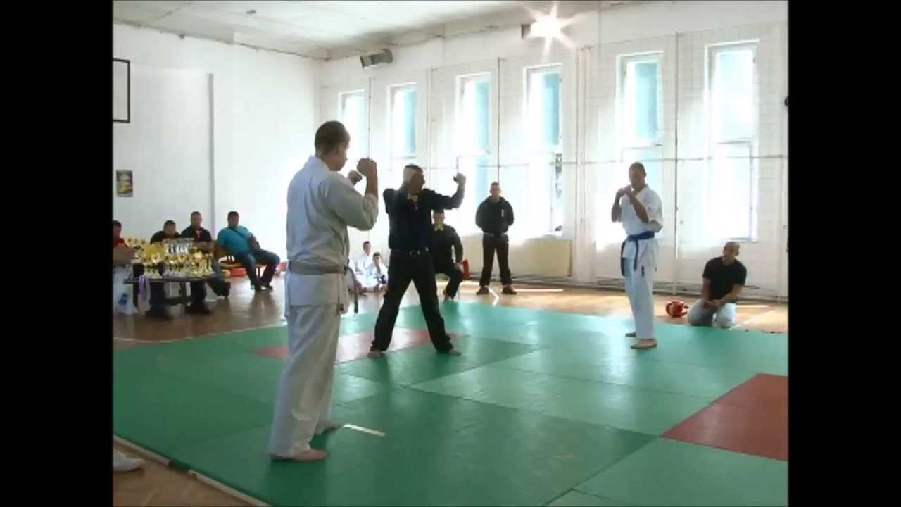 Serbia Challenge, Polufinale: Luka Petkovic - Michael Horvat - YouTube