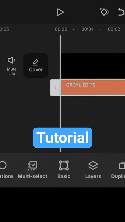 Blinking text animation tutorial | Capcut #edit #capcut #edittutorial #trending #smooth #shorts ...