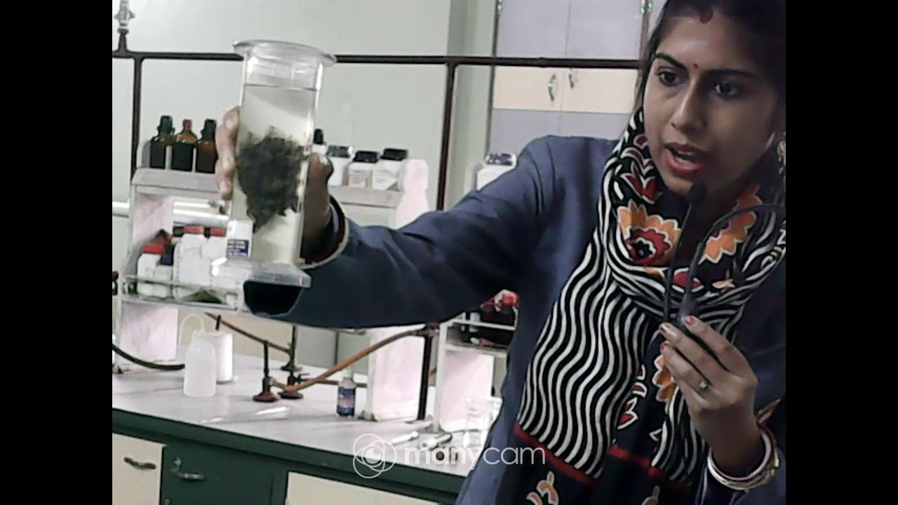 CLASS XI BIOLOGY PRACTICAL LIVE - YouTube