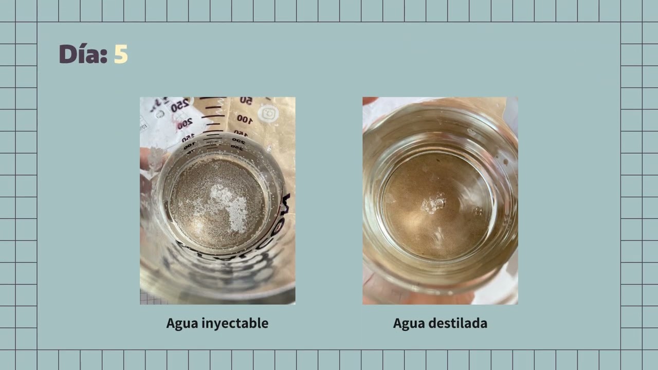 Formación de cristales de sal - YouTube