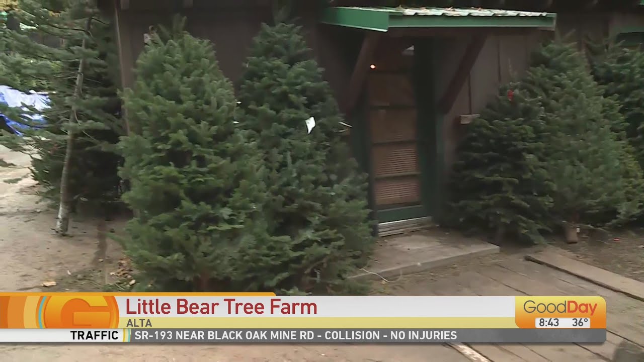 Little Bear Tree Farm in Alta - YouTube
