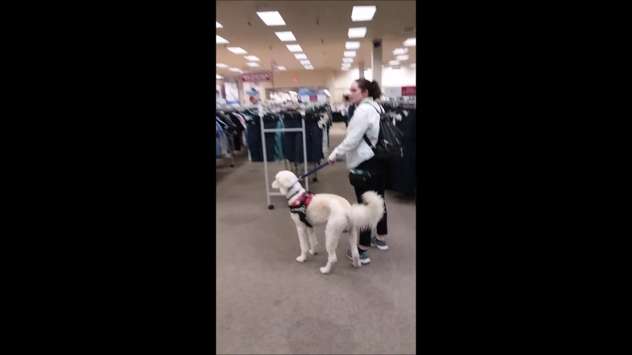 Service Dog Poem - YouTube
