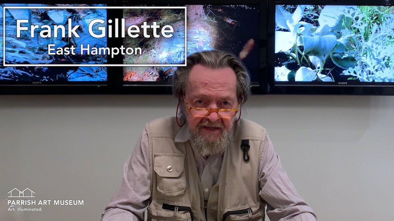 Frank Gillette - Artist Stories from the Pandemic - YouTube