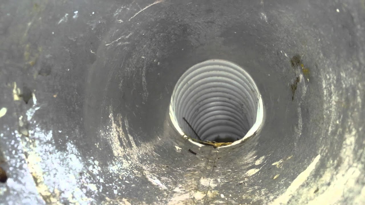 Bird in Vent - YouTube