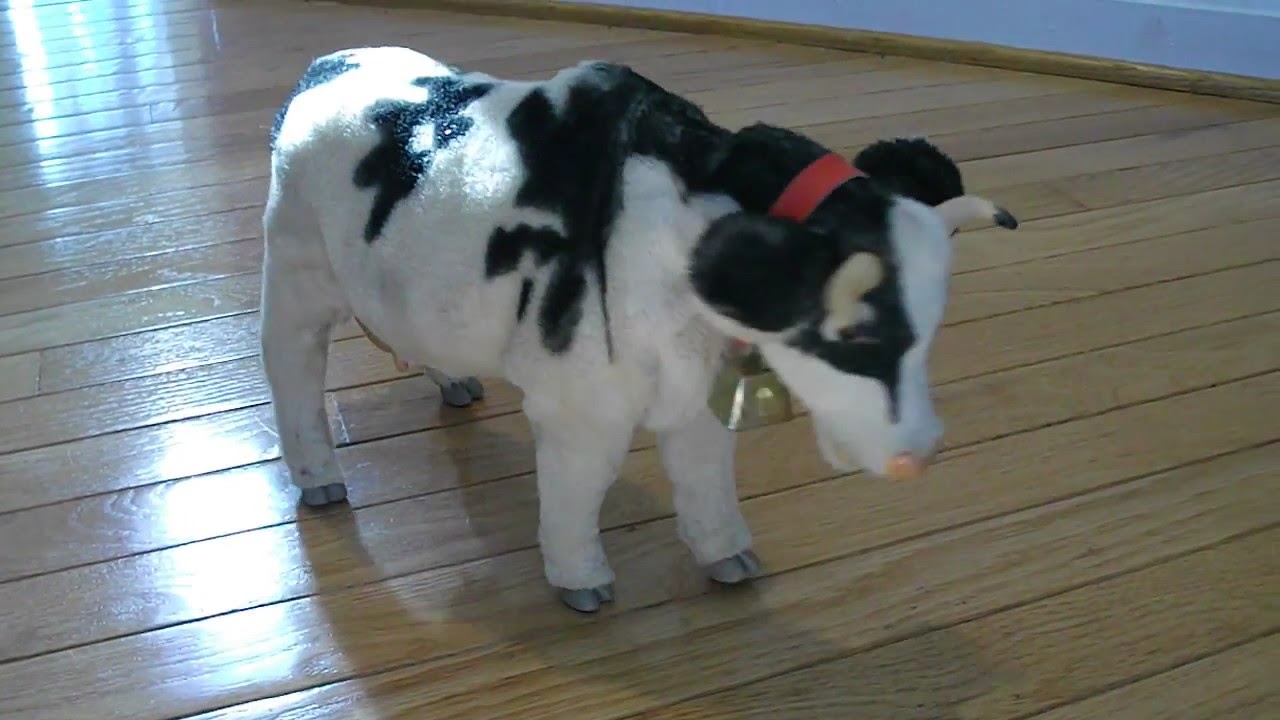 Josie the Cow Battery Operated Toy - YouTube