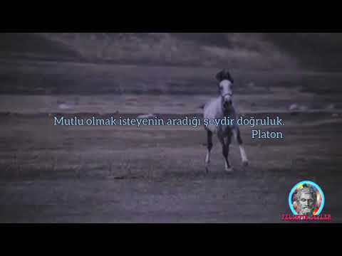 Metin ALTIOK☆Yüzün  Yorum- Abdullah Özdek (Kısa şiirler ve seslendirmeler)