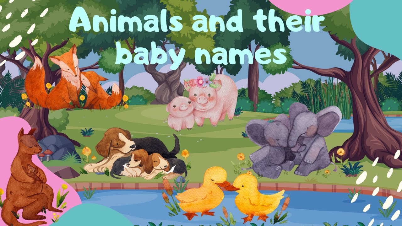 Animals and their Young ones in English | Baby Animals | Kids ...