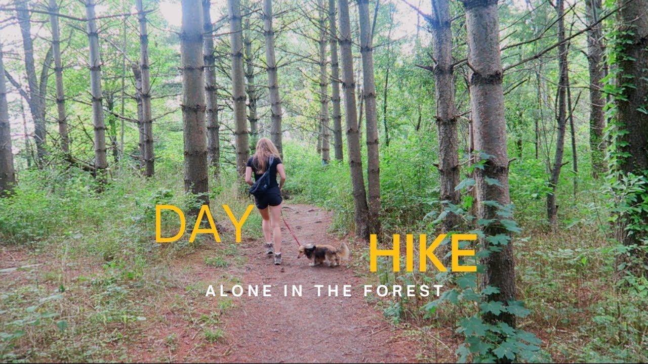 Hiking Vlog Alone ft. my dachshund || Come hiking with us - YouTube