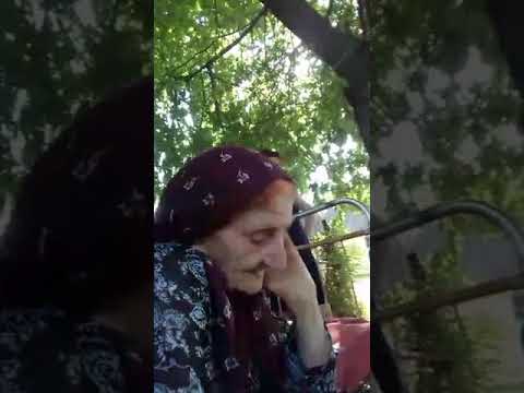 Şehri nene