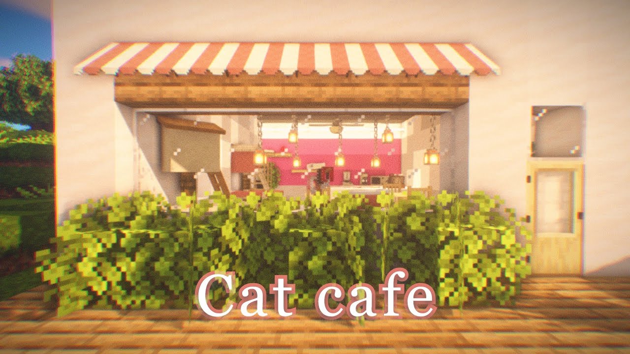CAT CAFE speed build - Minecraft (turn captions on) - YouTube
