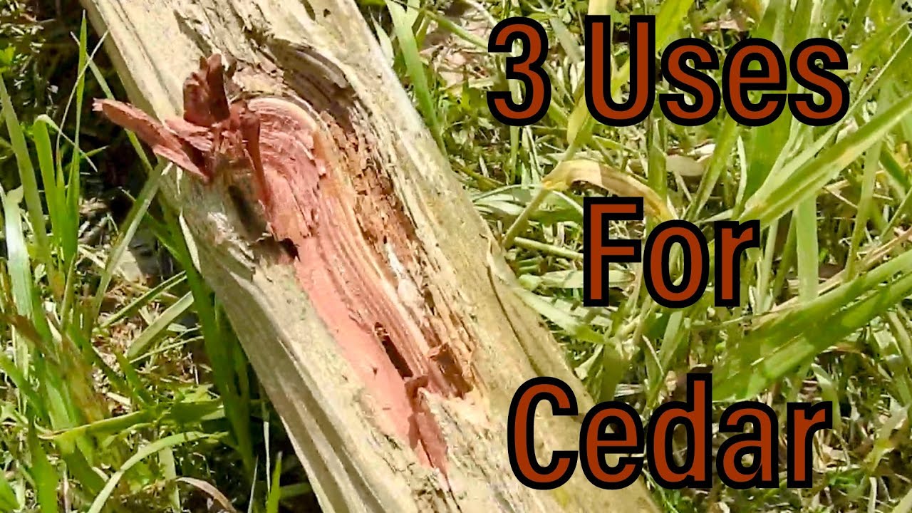 3 uses for Cedar Wood Off Grid - YouTube