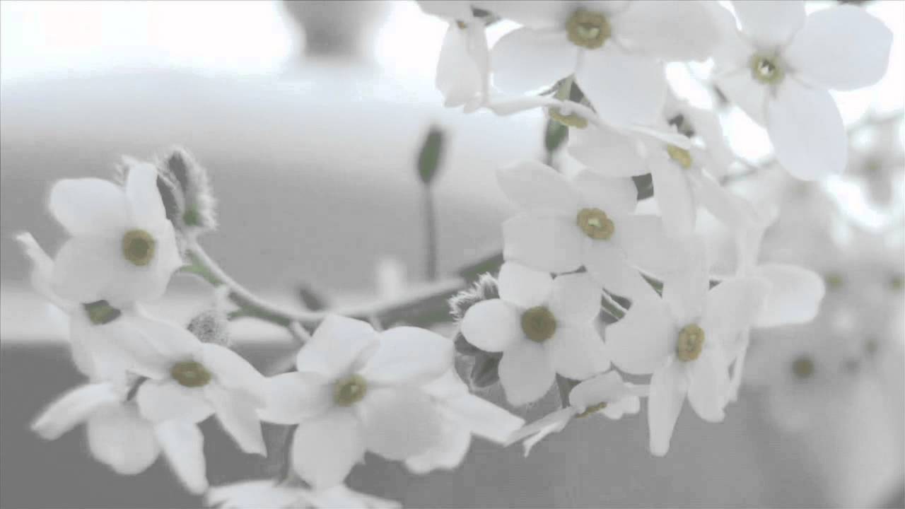 "Hey Susan" - YouTube