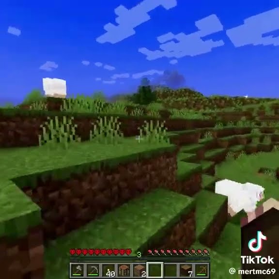 In Your World- Horror mod Minecraft credit to MertMc on tiktok # ...