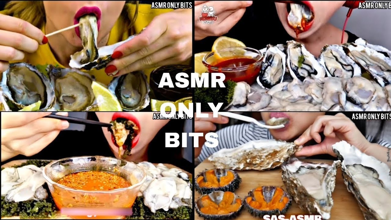 ASMR SEA OYSTER//Compilation///no talking///Bites only////asmr Mukbang ...