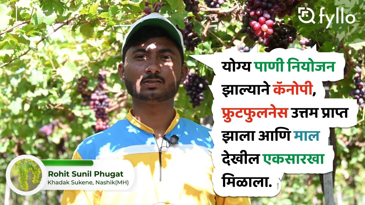 Rohit Sunil Phugat farmer review video | Khadak Sukene, Nashik - YouTube