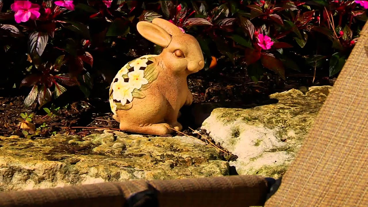 Indoor Outdoor Animal Luminary with Flameless Candle by Home ...