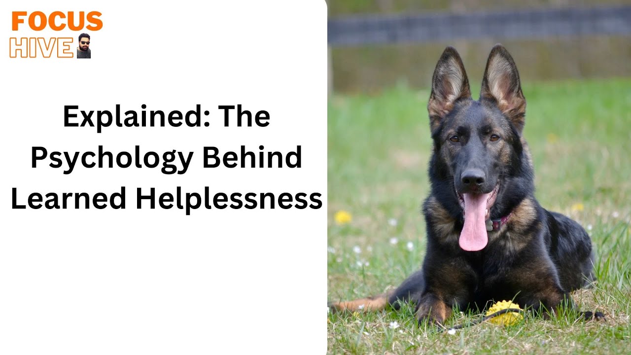 Explained: The Psychology Behind Learned Helplessness - YouTube