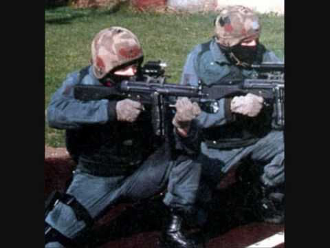 Spezial Einsatz Komamandos (S-E-K´s)