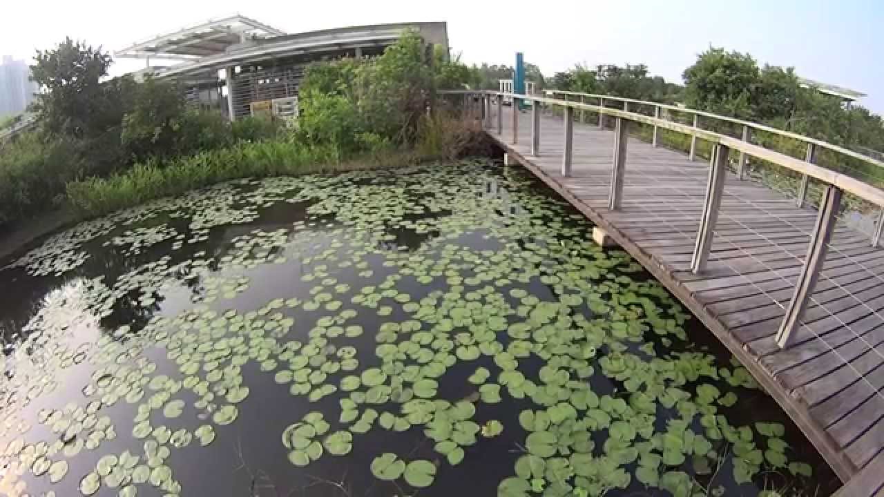 Hong Kong Wetland Park - YouTube