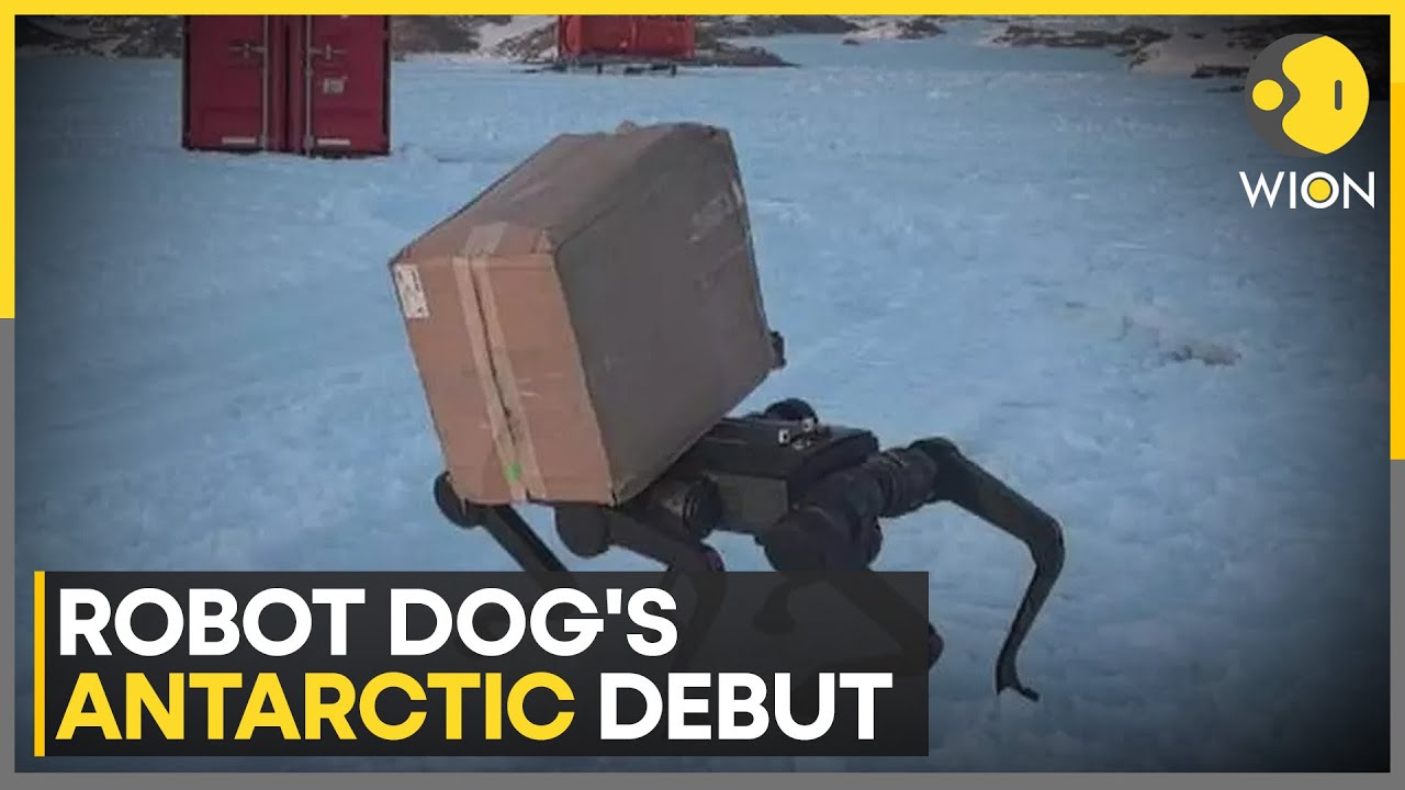 China's Six-legged Robot Dog To Facilitate Polar Research In Antarctica ...