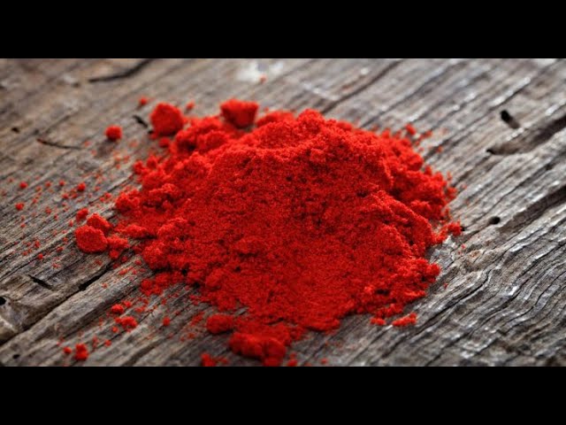I Fenici Coloravano La Porpora