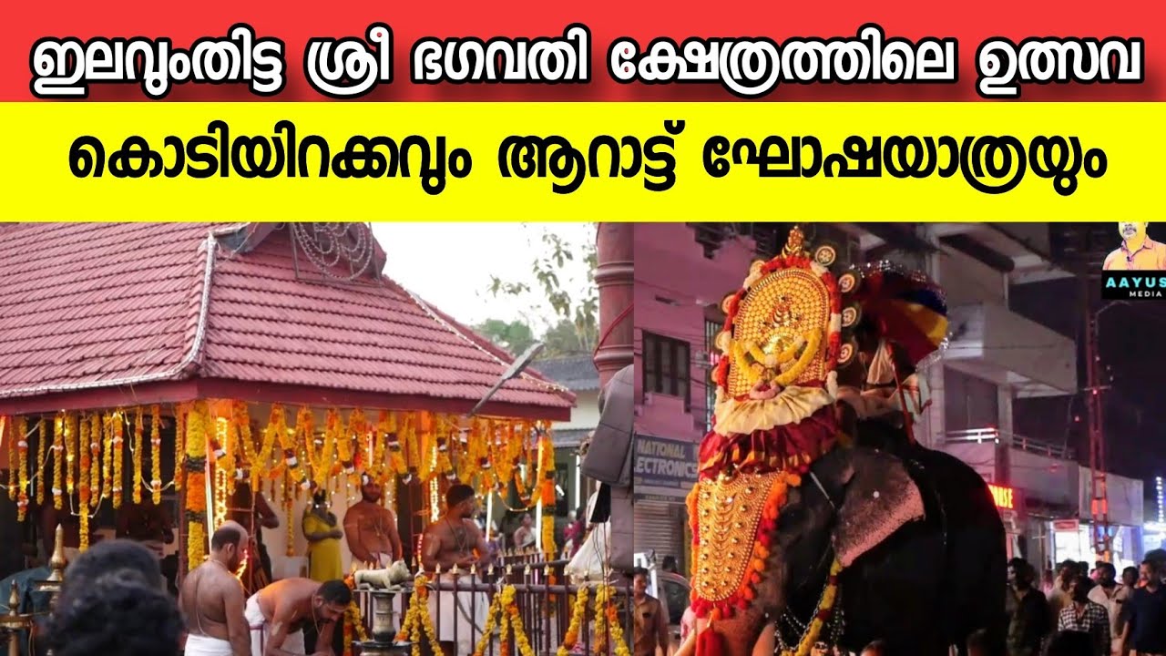 ഇലവുംതിട്ട ശ്രീ ഭഗവതി ക്ഷേത്ര ഉത്സവ കൊടി ഇറക്കവും ആറാട്ട് ഘോഷയാത്രയും ...