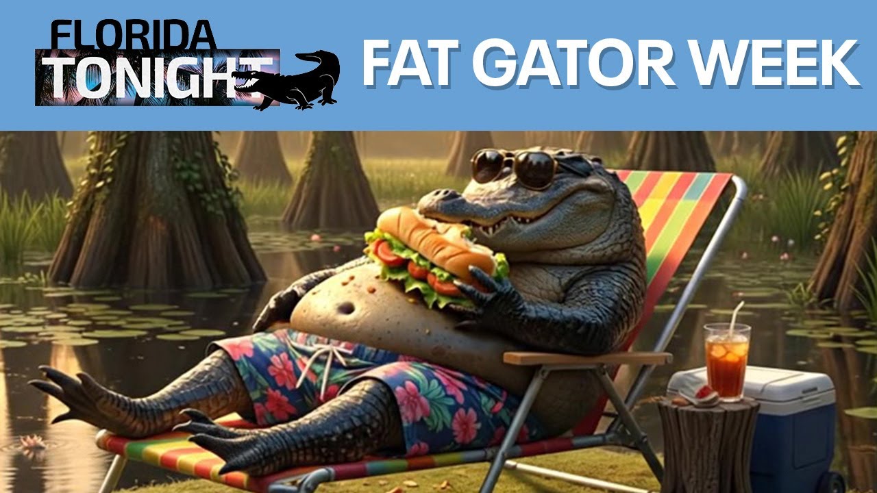 Florida Tonight: Fat Gator Week showdown - YouTube