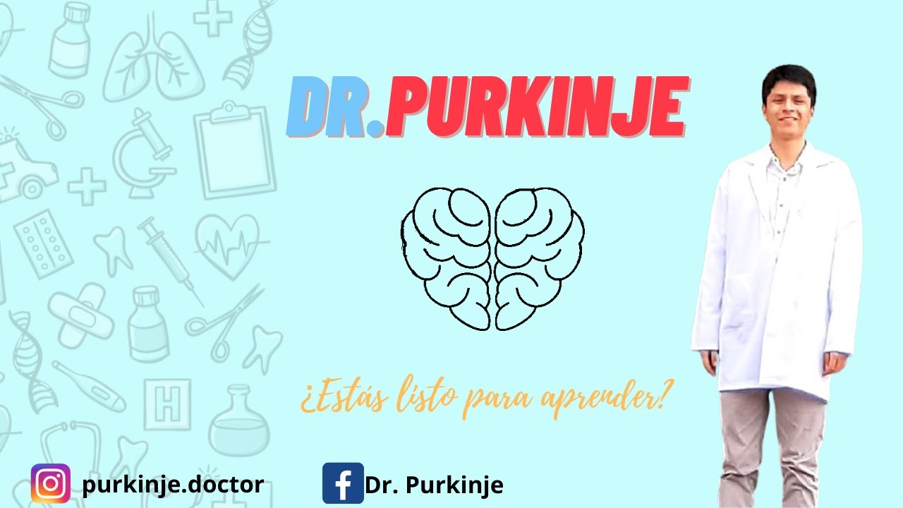 ¡Estudiemos juntos!...¿Estás listo para aprender? - YouTube