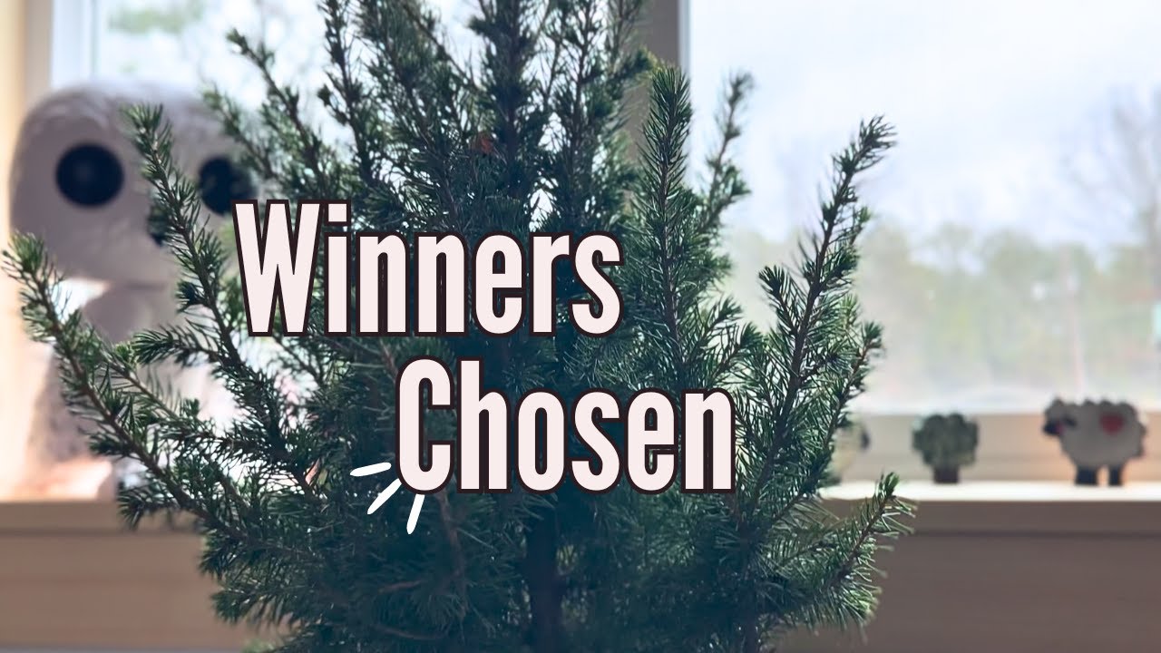 Week 1 Vlogmas Winners Chosen and Whats Upcoming - YouTube