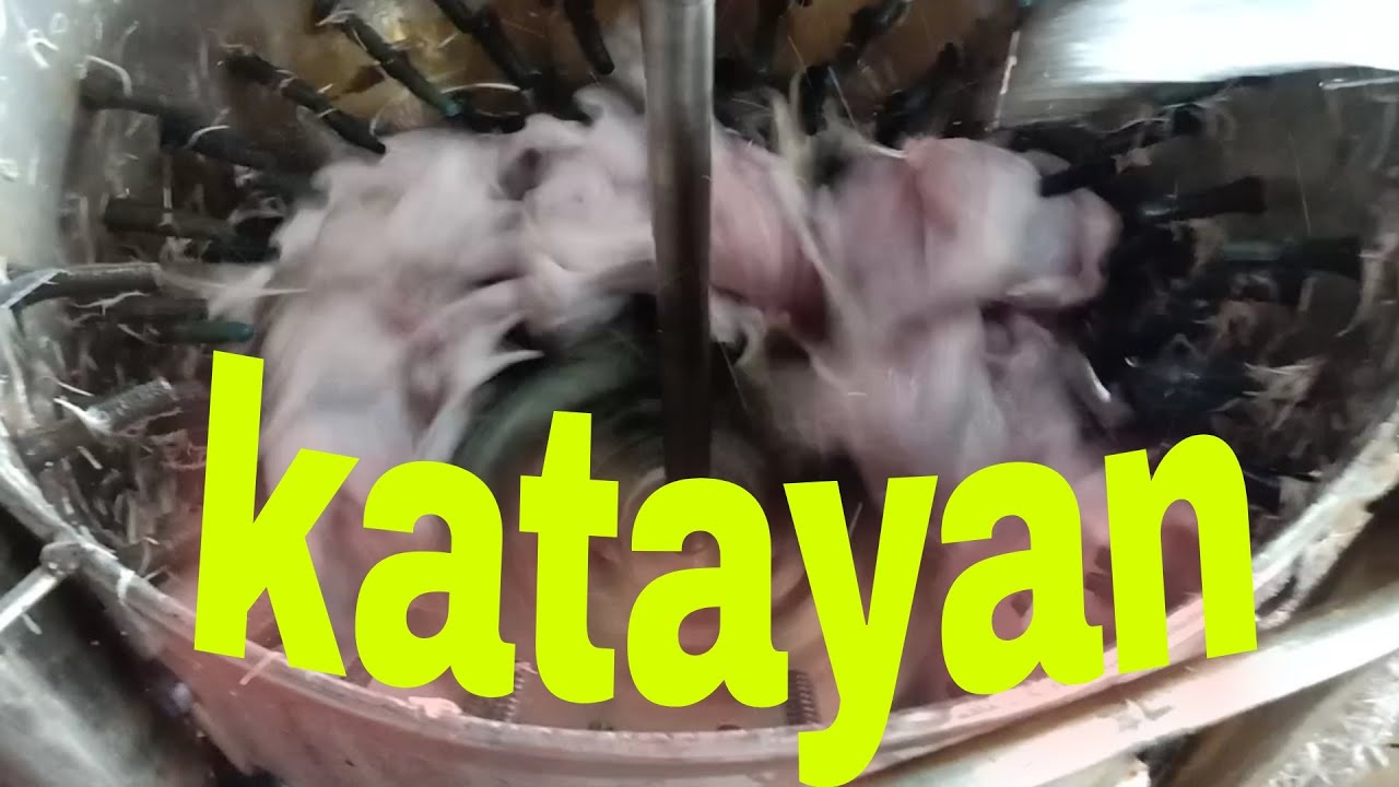 katayan ng manok sa commonwealth market - YouTube