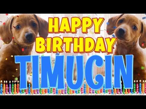 Happy Birthday Timucin! ( Funny Talking Dogs ) What Is Free On My Birthday