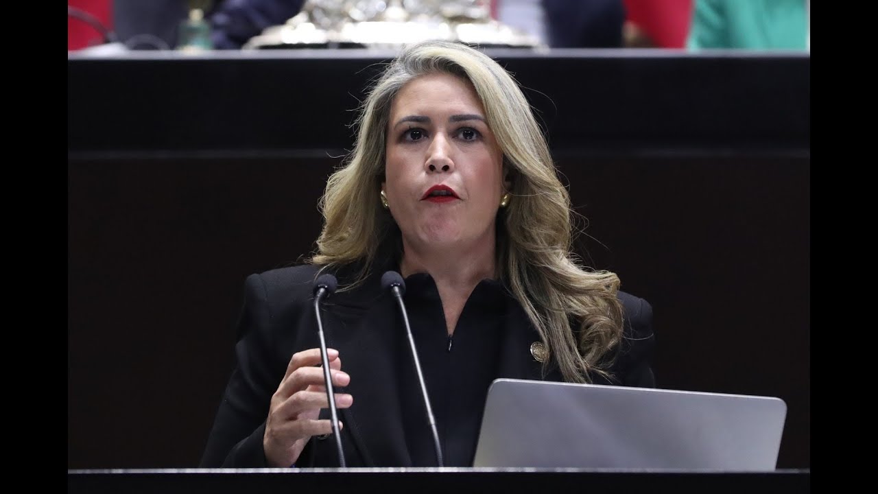 Dip. Paulina Rubio Fernández (PAN) / Análisis del VI Informe de ...