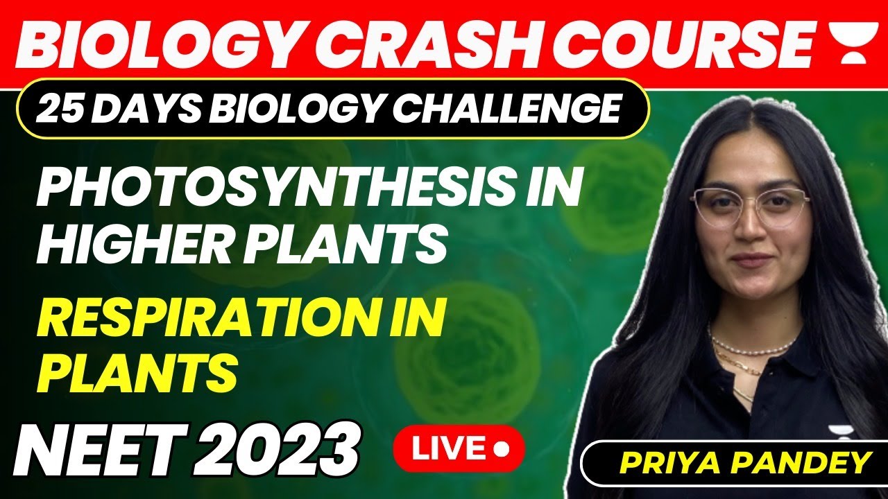 Photosynthesis in Higher Plants | Respiration in Plants | Biology Crash ...