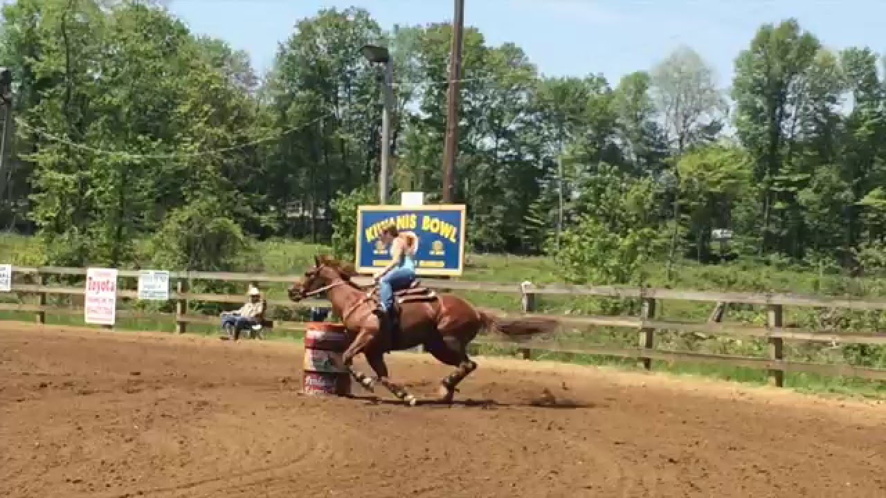 AN SC 467W EPO Equine Proposal - YouTube