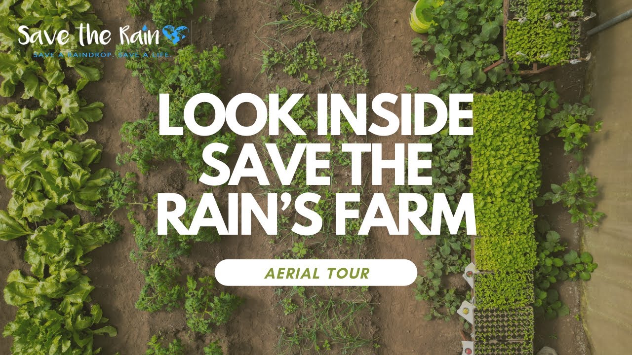 🌍 Discover How We're Cultivating Change at Save the Rain’s Farm 🌱 - YouTube