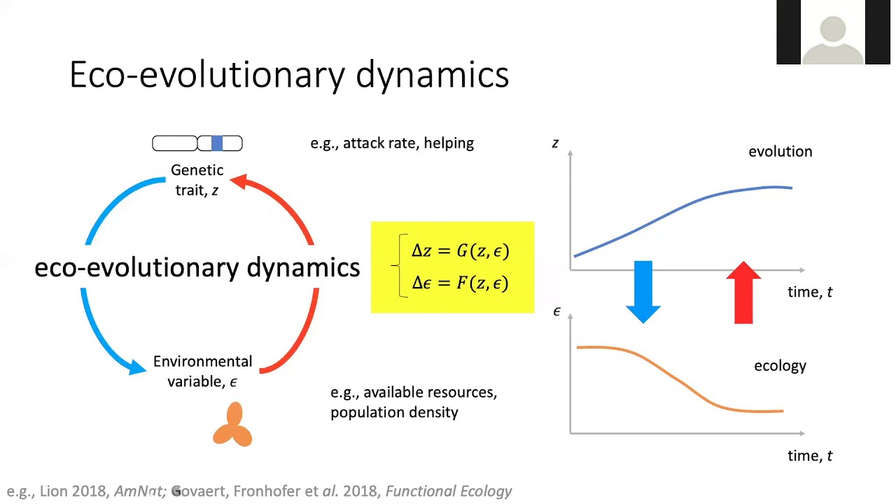 Eco-evolutionary dynamics under non-random interactions, Charles Mullon ...