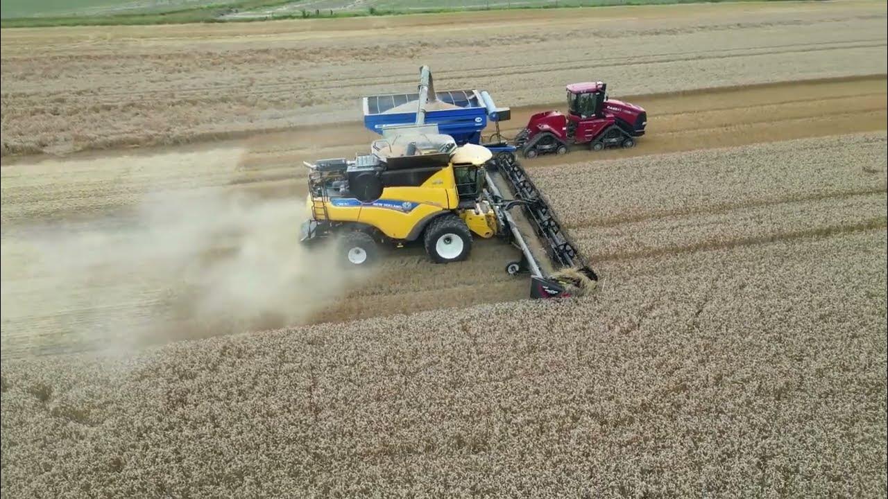 Wheat Harvest 2024 - Fairview Farms - YouTube