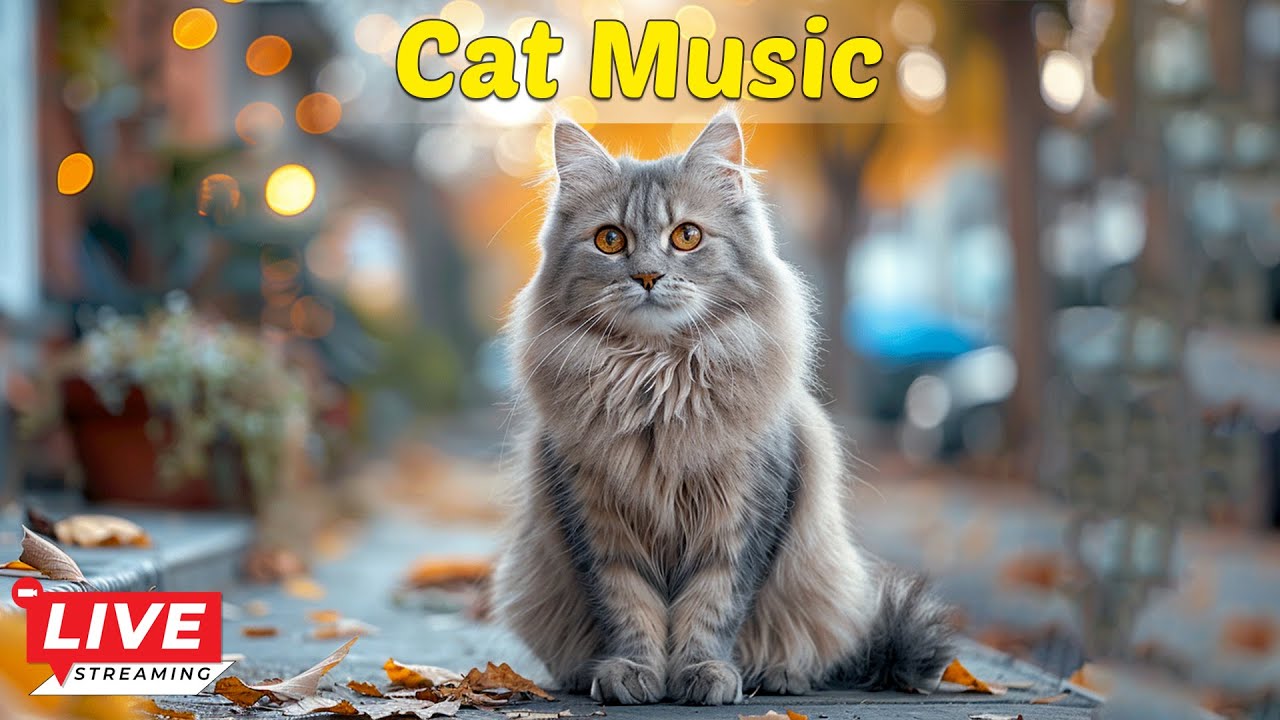 Let's heal with cats 😽 Music for Cat Nap Time - Peaceful Sounds for a ...