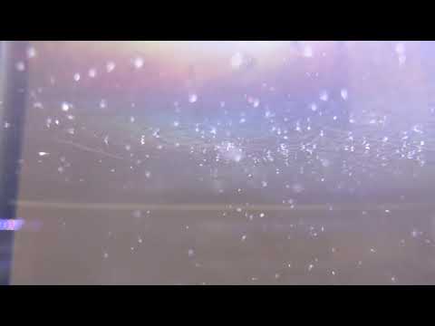 Brine Shrimps Draw! - YouTube