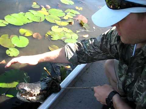 East Texas Gator Hunt With The Boys - YouTube