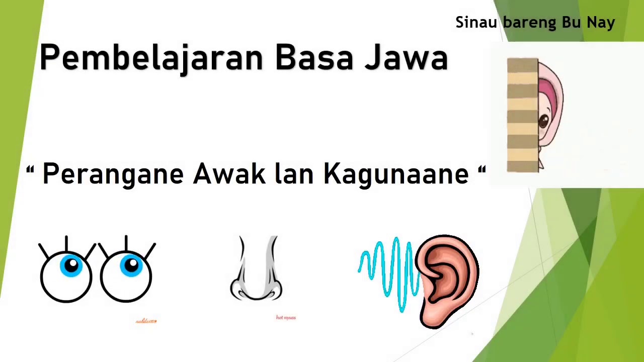 Sinau Basa Jawa: "Perangane Awak lan Kagunaane" - YouTube