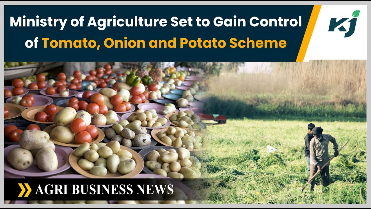 Ministry of Agriculture Set to Gain Control of Tomato, Onion and Potato ...