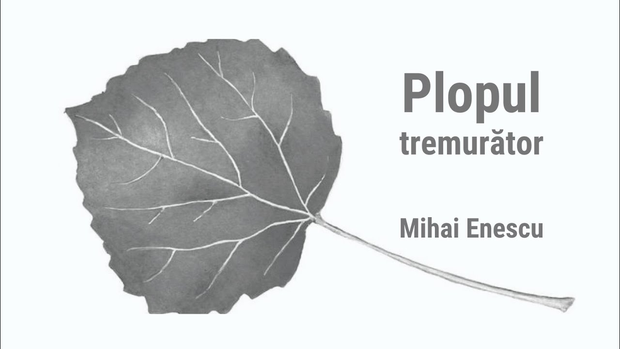 Plopul tremurător (colaj realizat de Mihai Enescu) - YouTube