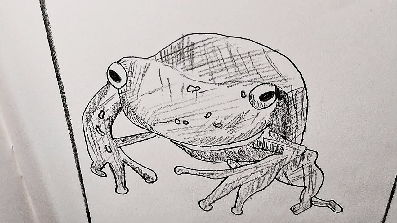 Easy Drawing Frog 🐸 | Frog | Animal | artwork | Frogart | Froggy ...