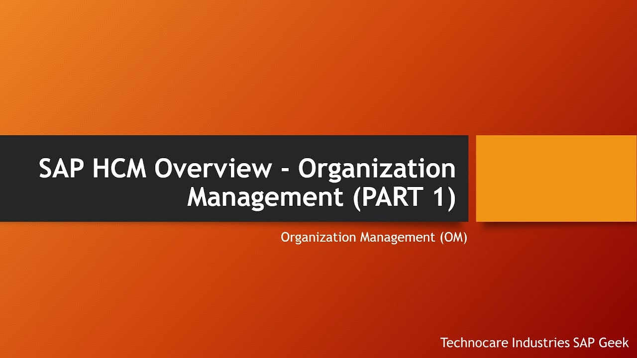 SAP HCM Overview - Organization Management (PART 1) - YouTube